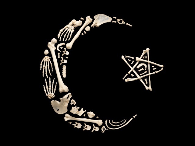 Art Made From Human Bones | Amusing Planet